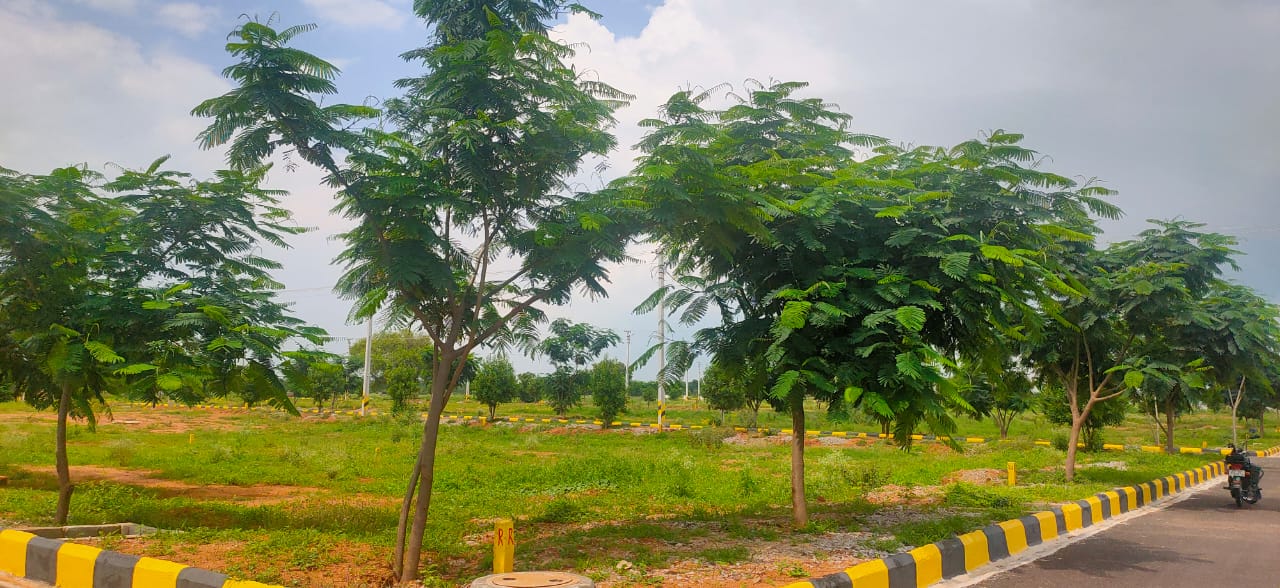 DTCP Open Plots Sale In Meerkhanpet Near Pharmacity Future City ...